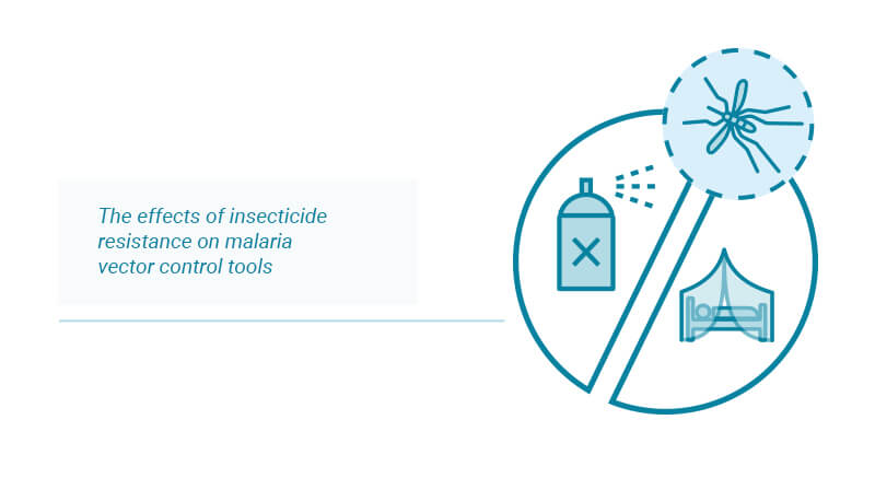 Insecticide Resistance Insecticide Resistance And Its Management In